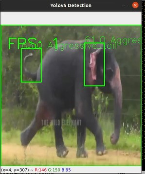 Aggressive Elephant Detection